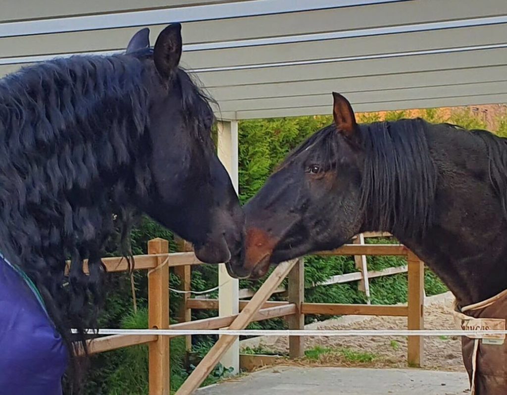 Puntenburg | Samenwerking met Unique Encounters